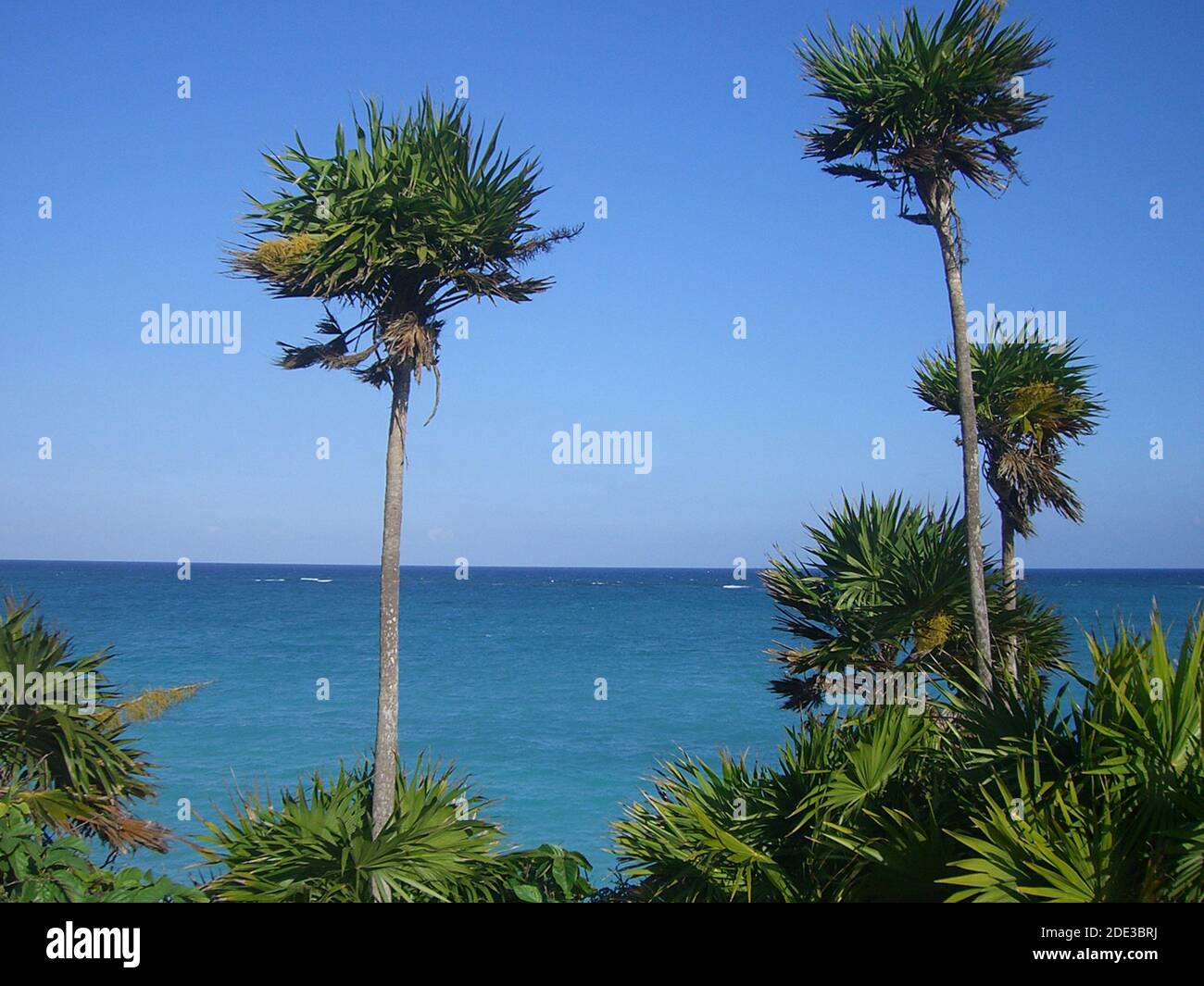 Plages de cancun hi-res stock photography and images - Alamy