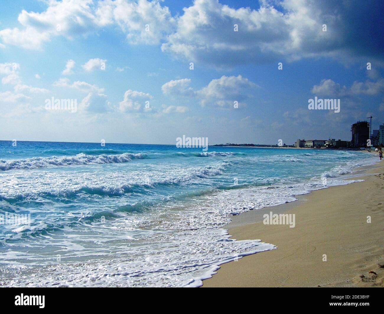 Iguane plage hi-res stock photography and images - Alamy