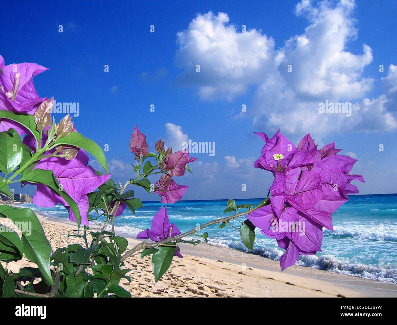 Plage de tulum hi-res stock photography and images - Alamy