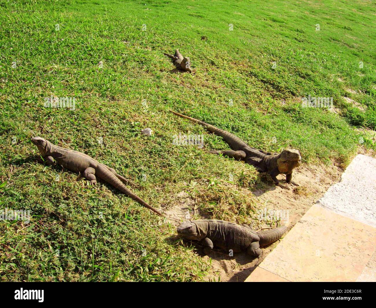 Pyramides du mexique hi-res stock photography and images - Alamy