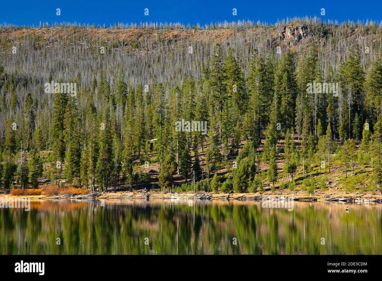 Campbell Lake, Fremont National Forest, Oregon Stock Photo - Alamy