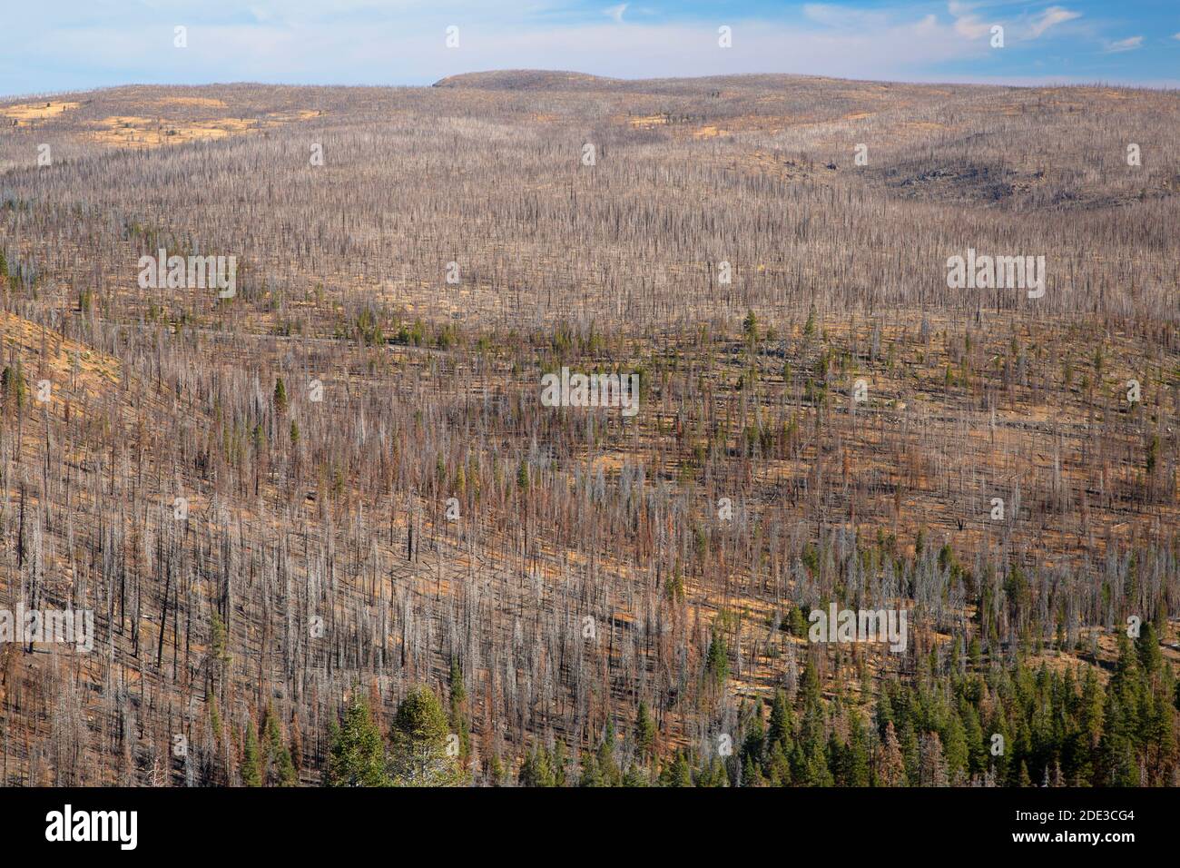 Bald Butte view, Fremont National Forest, Oregon Stock Photo - Alamy