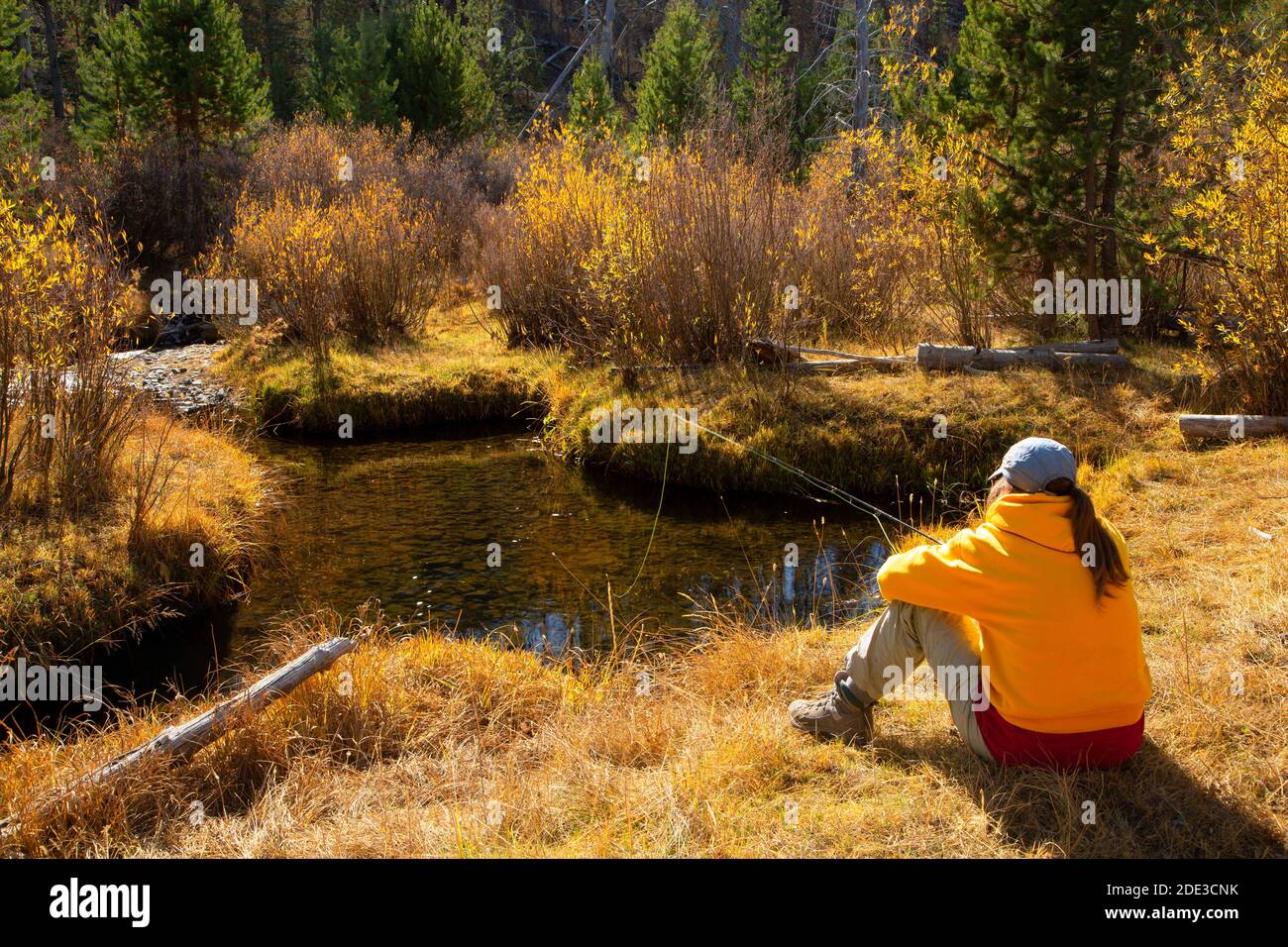 Fly fishing the Sycan Wild and Scenic River at Hannan Campground ...