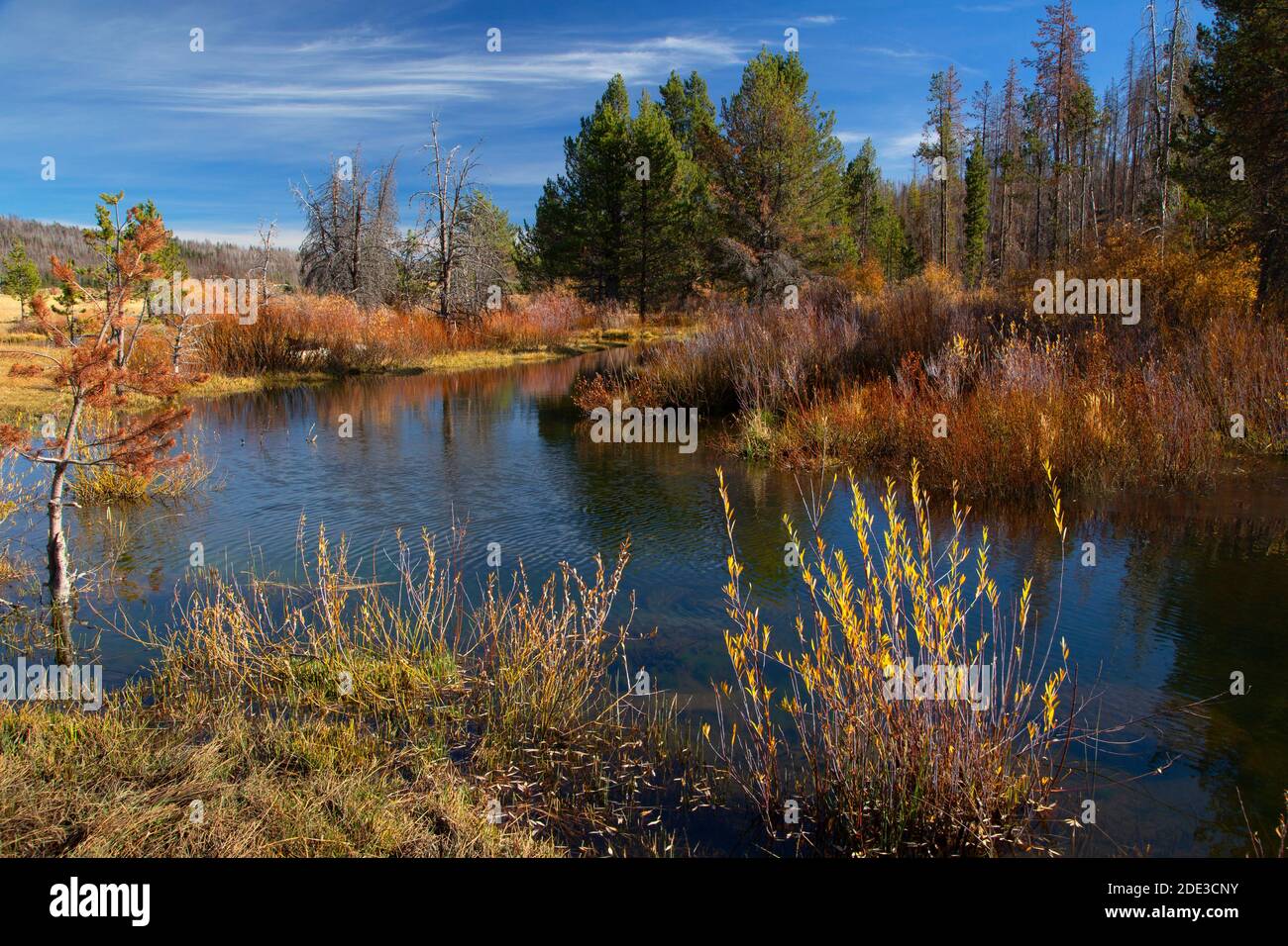 Beaver pond, Sycan Wild and Scenic River, Fremont National Forest ...