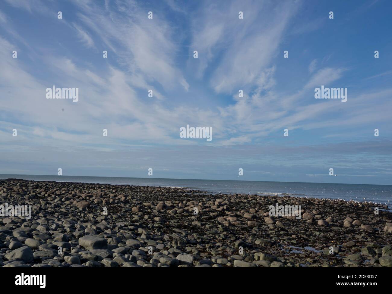 Beach with pebbles,rocks and stacked limestone strata in Ceredigion ...