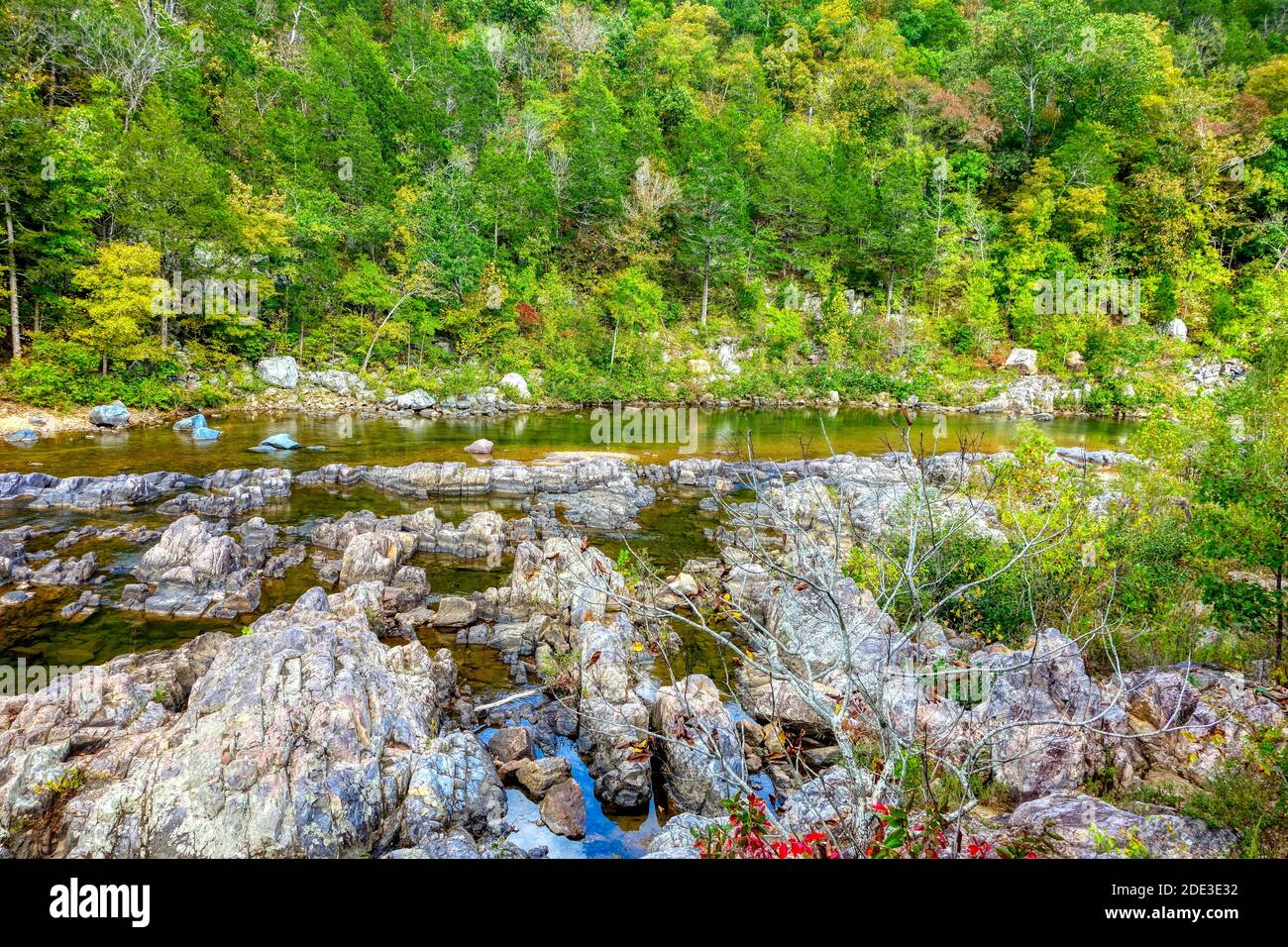 A small pond surrounded by rocks and greenery at daytime - perfect for ...