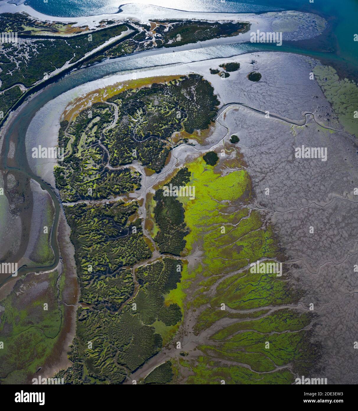 Tidal Marsh, Tidal Wetland (MARISMA), Low Tide, Marismas de Santoña ...
