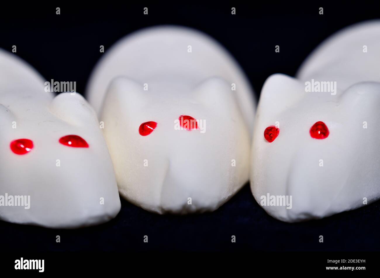 A group of white mice with red eyes from marshmallow, close up, looking ...