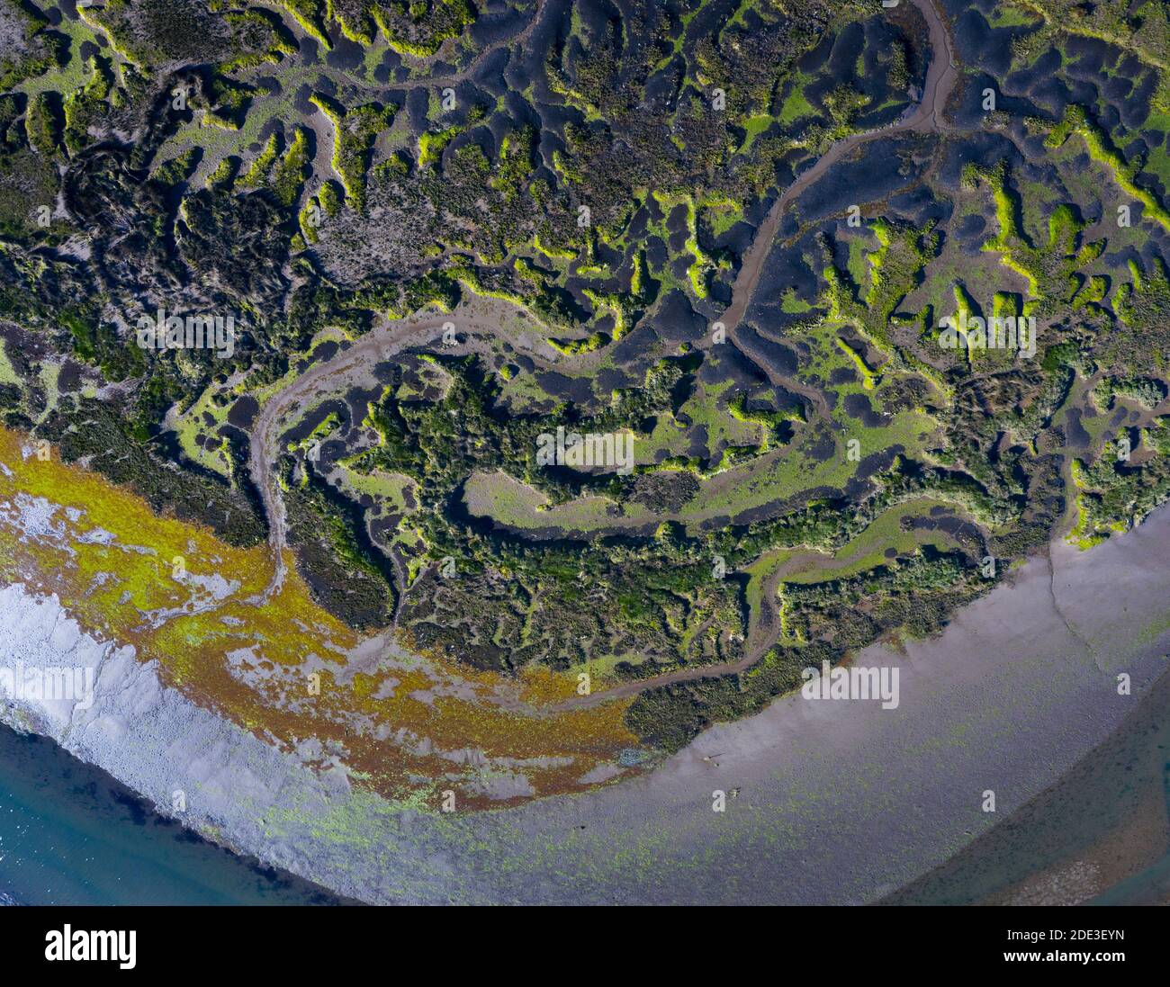 Tidal Marsh, Tidal Wetland (MARISMA), Low Tide, Marismas de Santoña ...