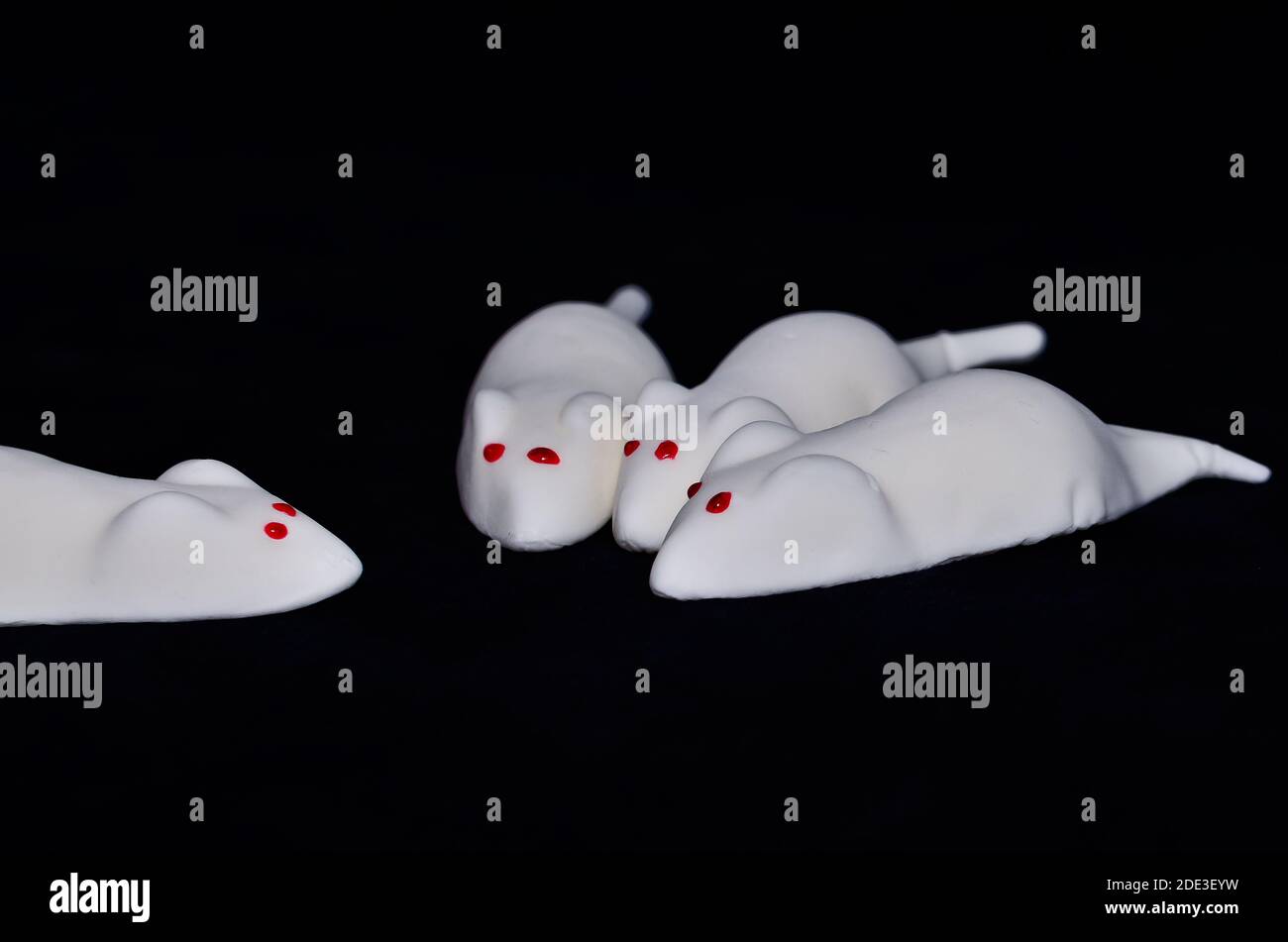 A group of white mice with red eyes from marshmallow, close up, looking ...
