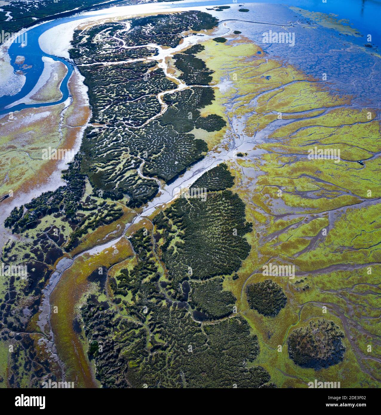 Tidal Marsh, Tidal Wetland (MARISMA), Low Tide, Marismas de Santoña ...