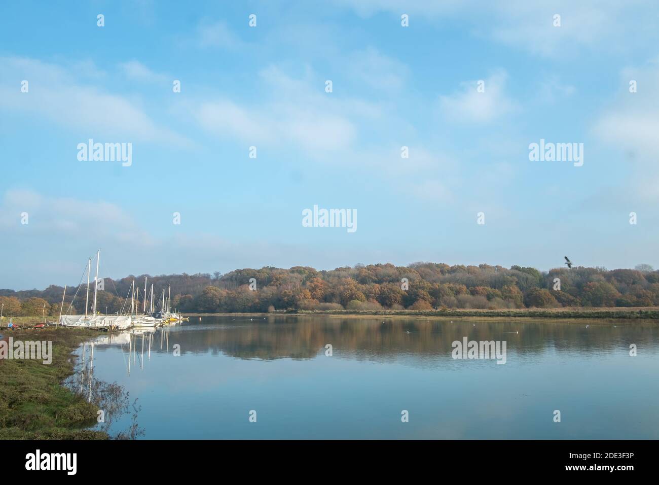 The River Colne front as it flows through the small Essex village of ...