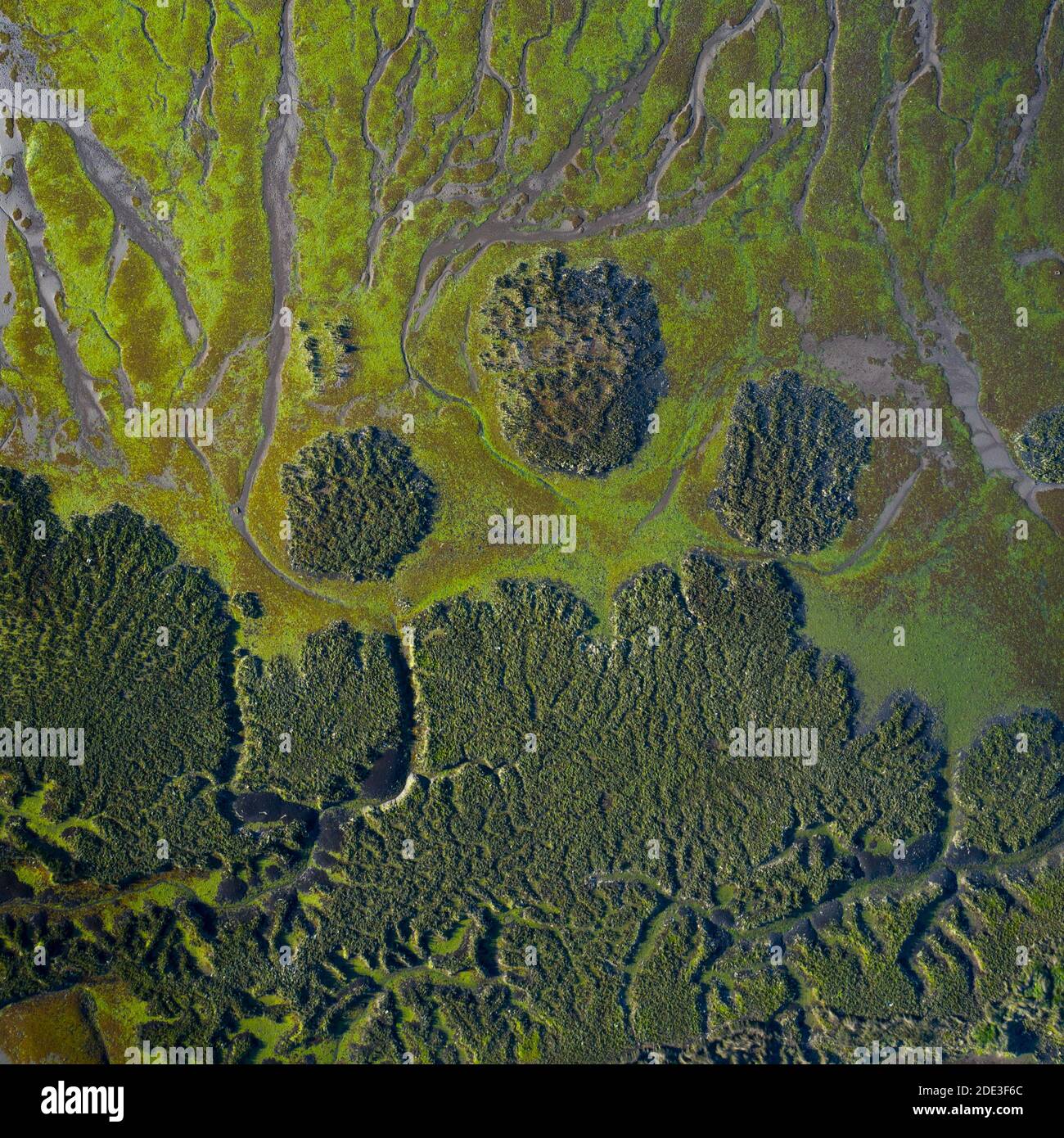 Tidal Marsh, Tidal Wetland (MARISMA), Low Tide, Marismas de Santoña ...