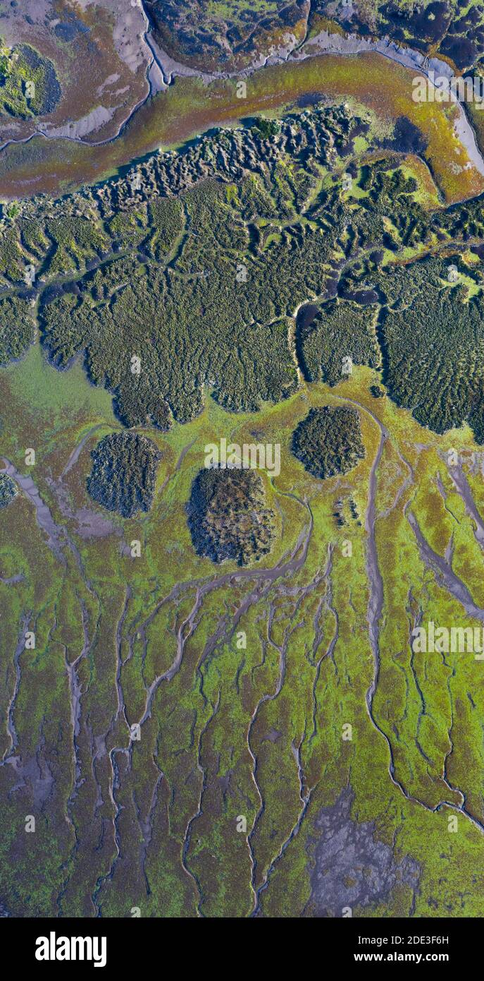 Tidal Marsh, Tidal Wetland (MARISMA), Low Tide, Marismas de Santoña ...