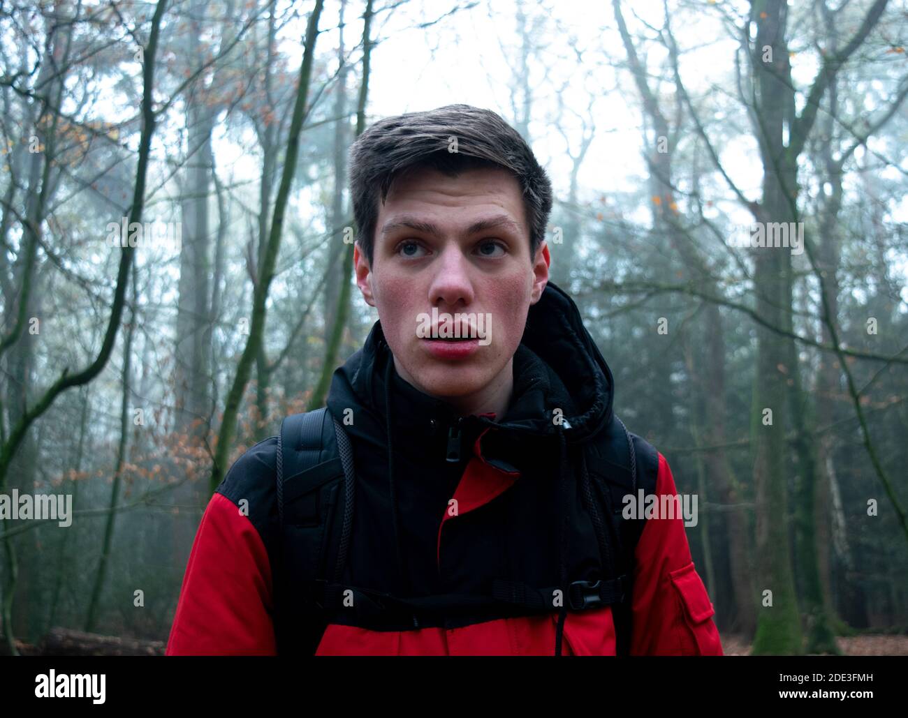 Confused tourist in forest hi-res stock photography and images - Alamy