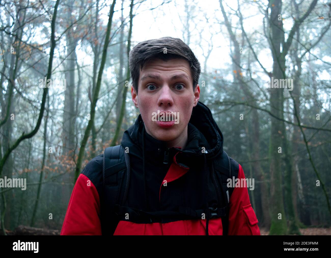 Lost in the forest hi-res stock photography and images - Alamy