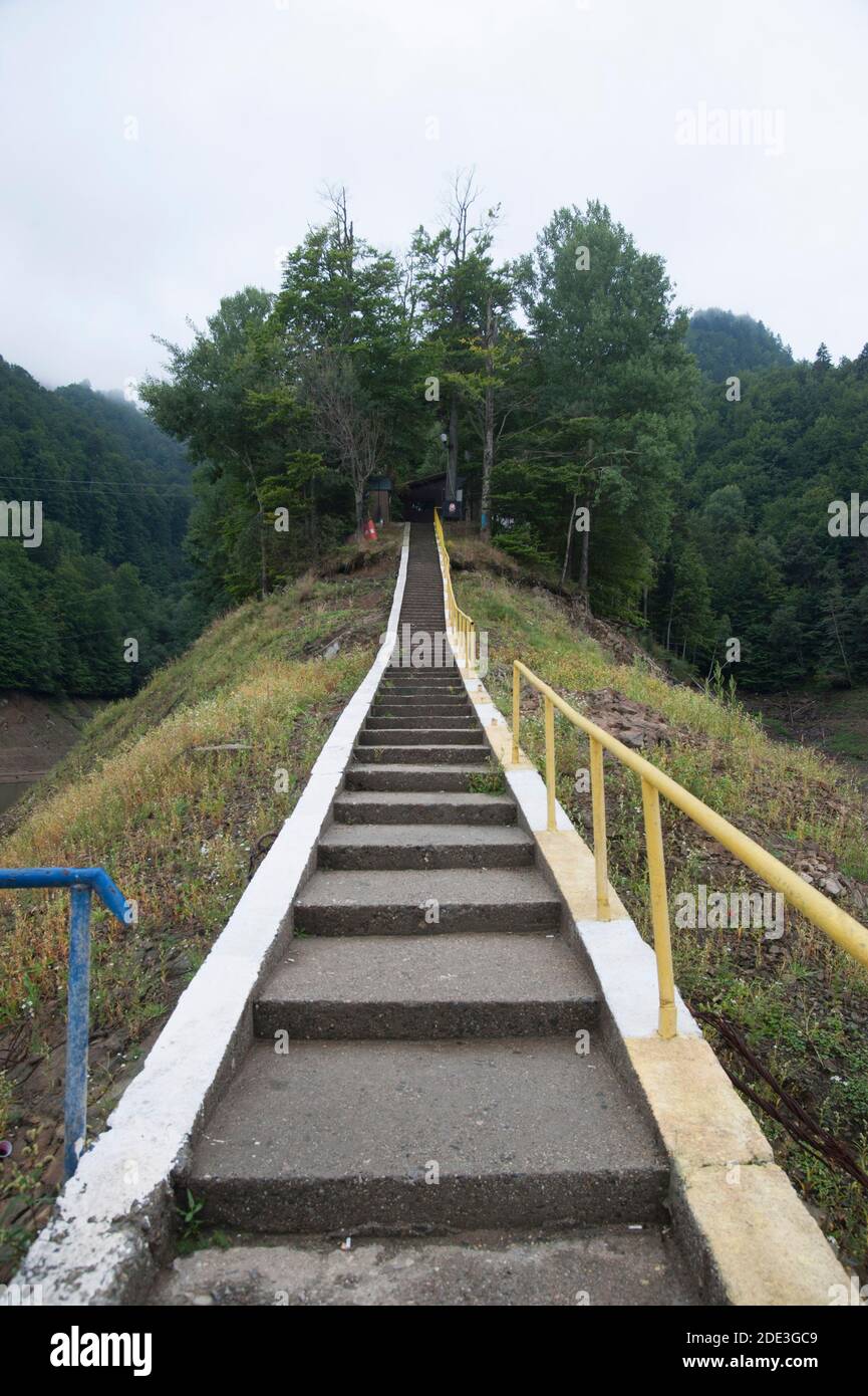 a pedestrian bridge or footbridge, construction for walking by foot ...