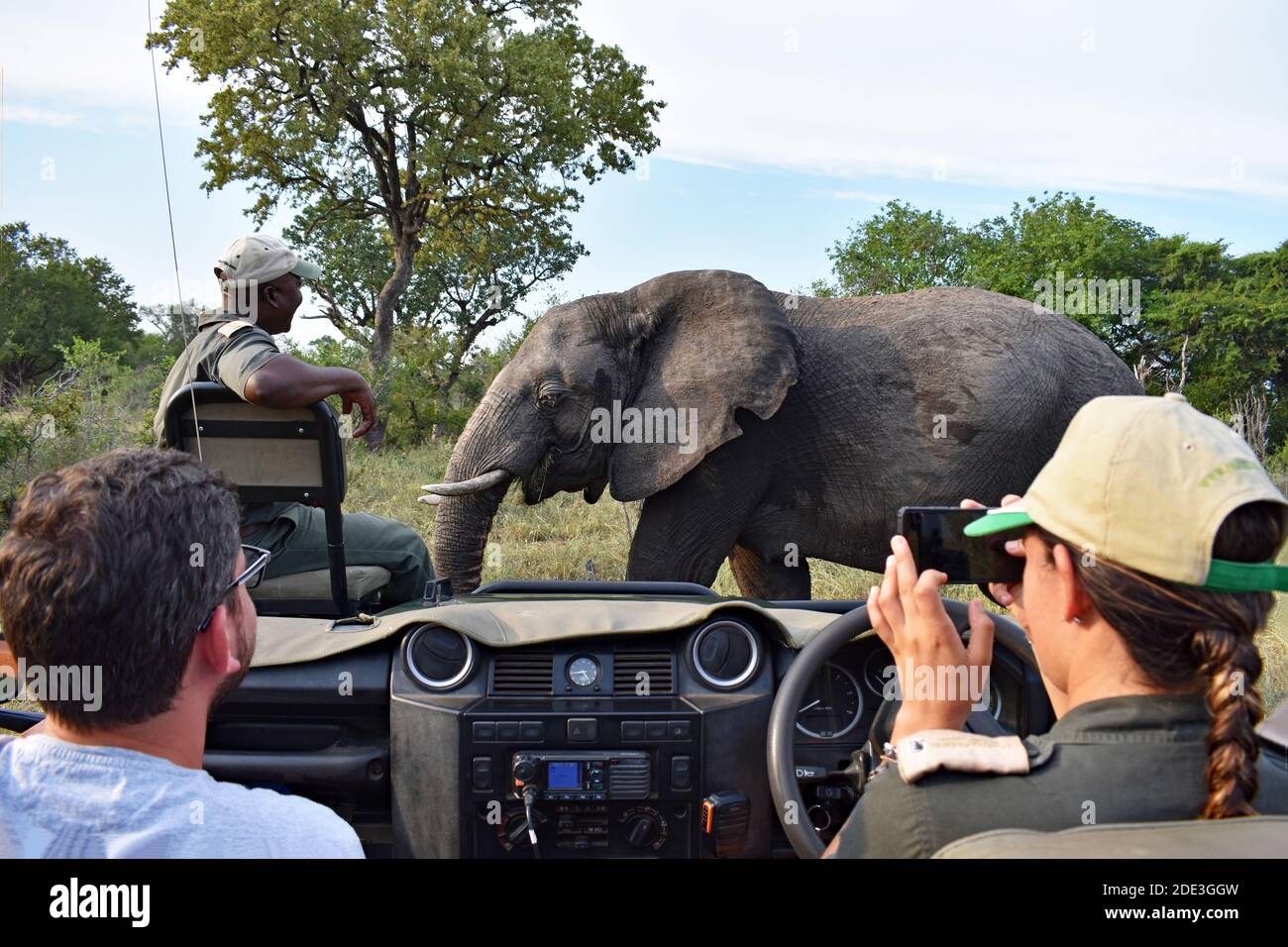 Safari vehicle in front elephant hi-res stock photography and images ...