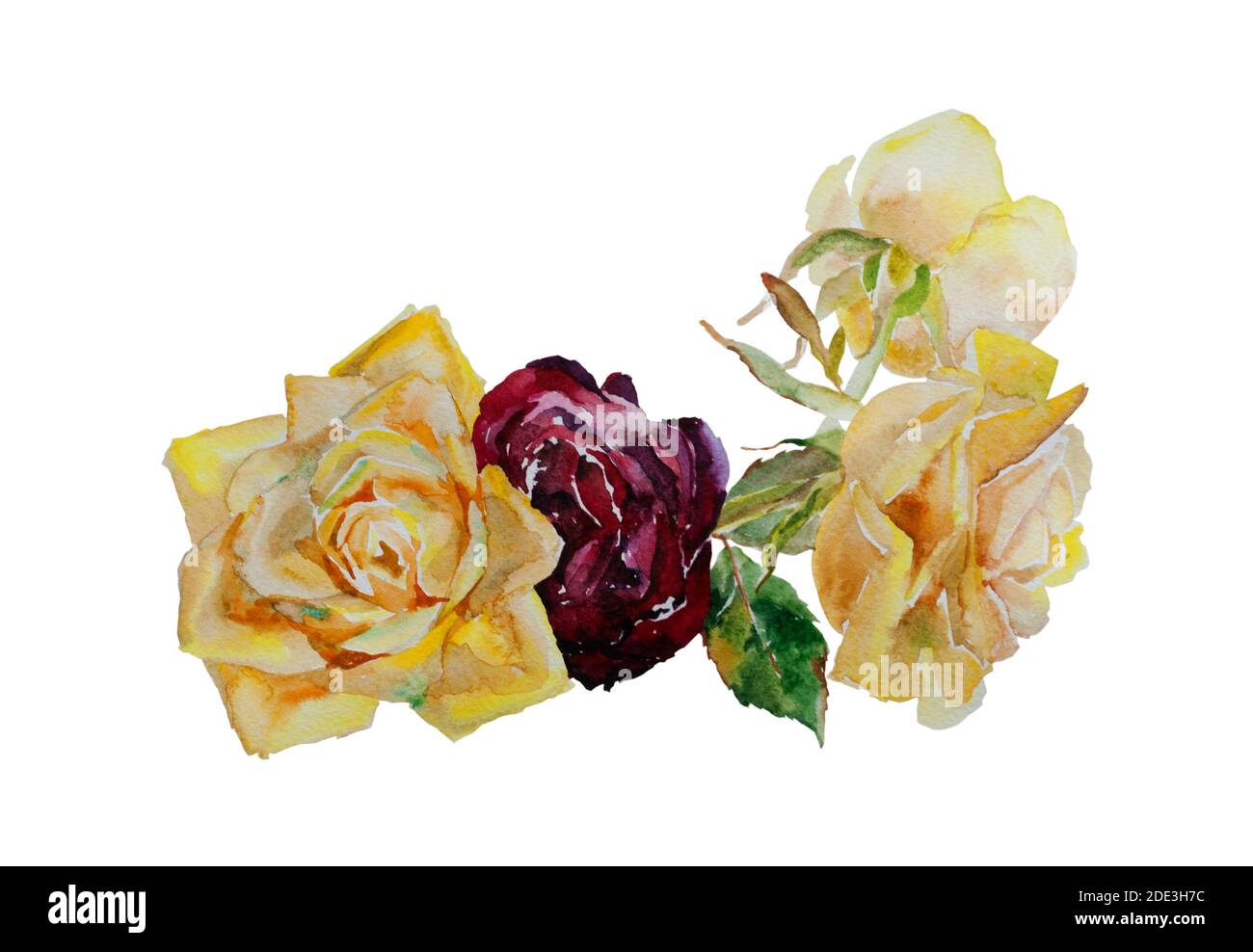 Bouquet of yellow and maroon roses with leaves, corner watercolor ...