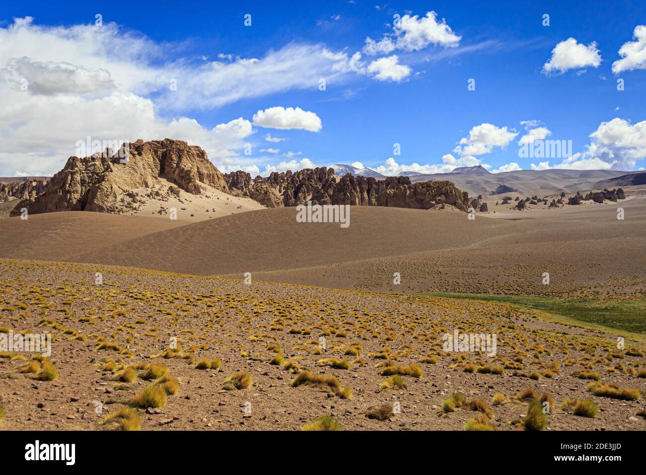 Puna plateau hi-res stock photography and images - Alamy