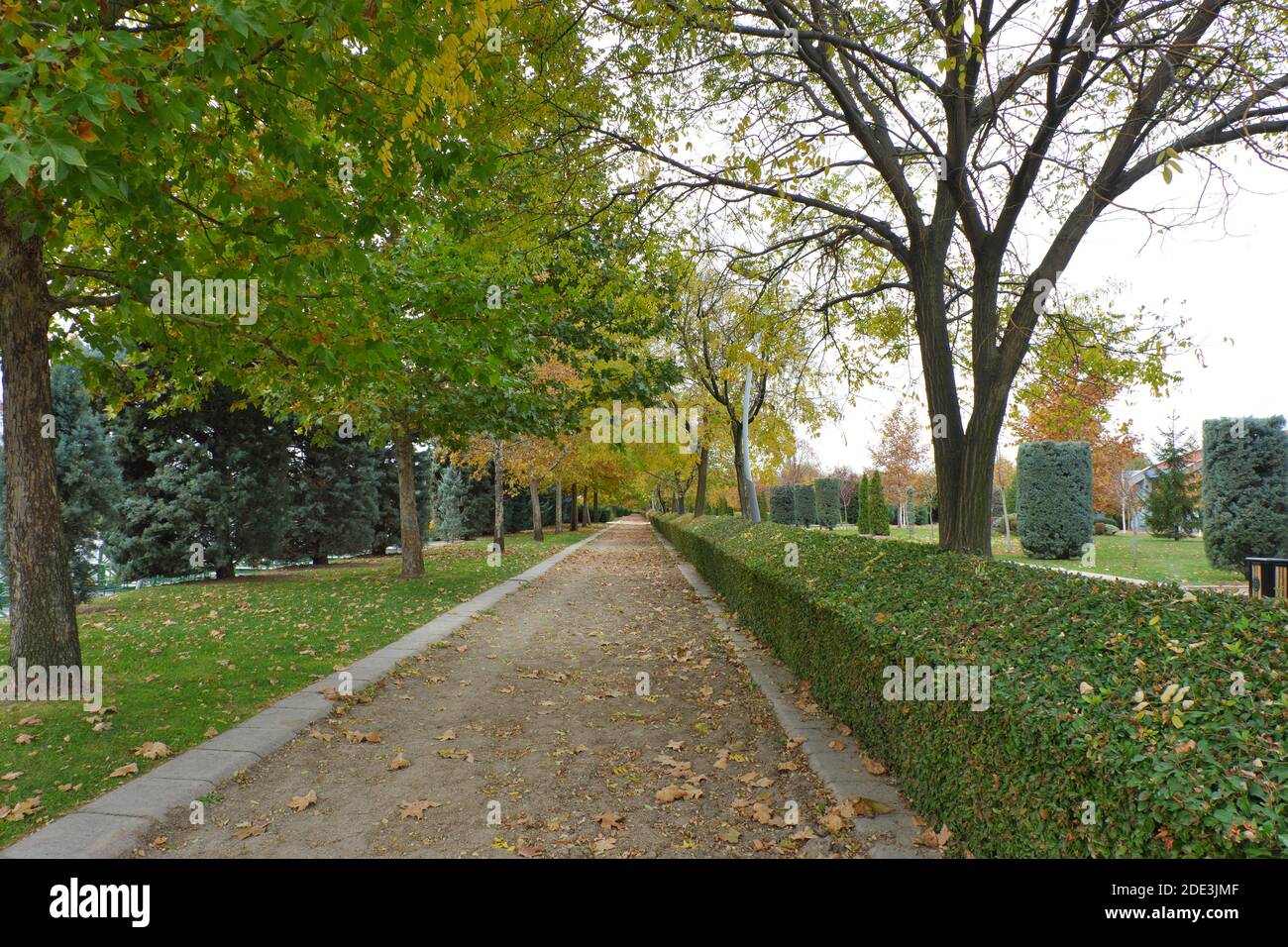 Walking Way in autumn Stock Photo - Alamy