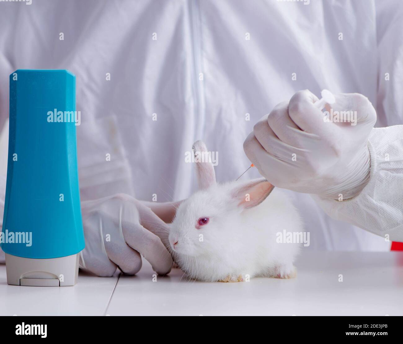 The white rabbit in scientific lab experiment Stock Photo - Alamy