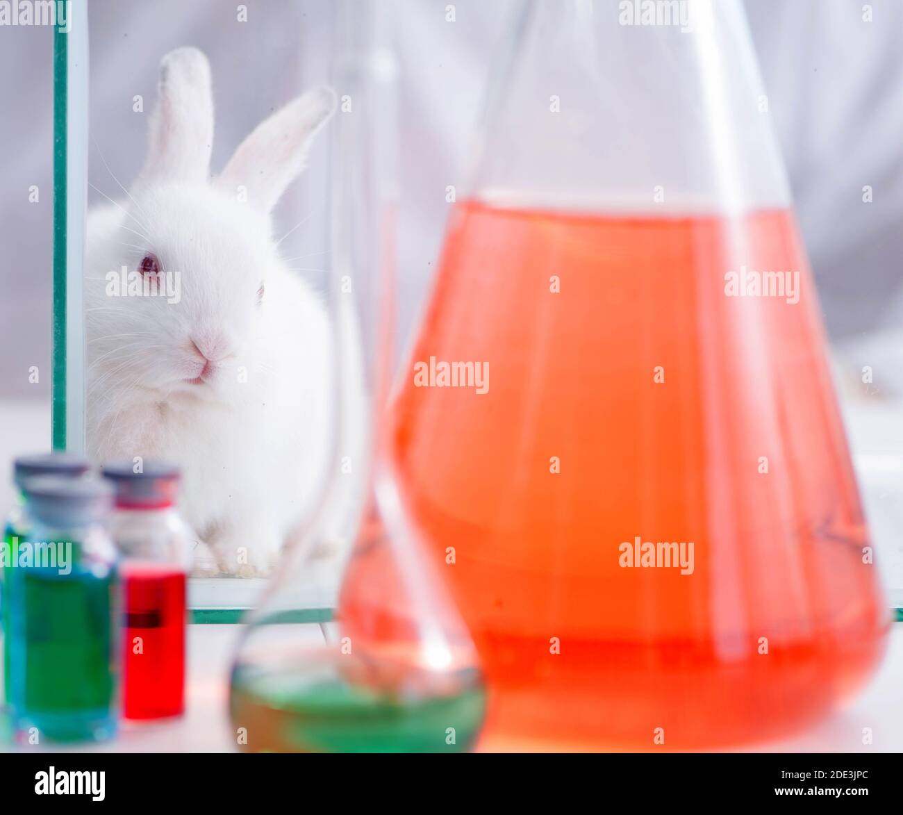 The white rabbit in scientific lab experiment Stock Photo - Alamy