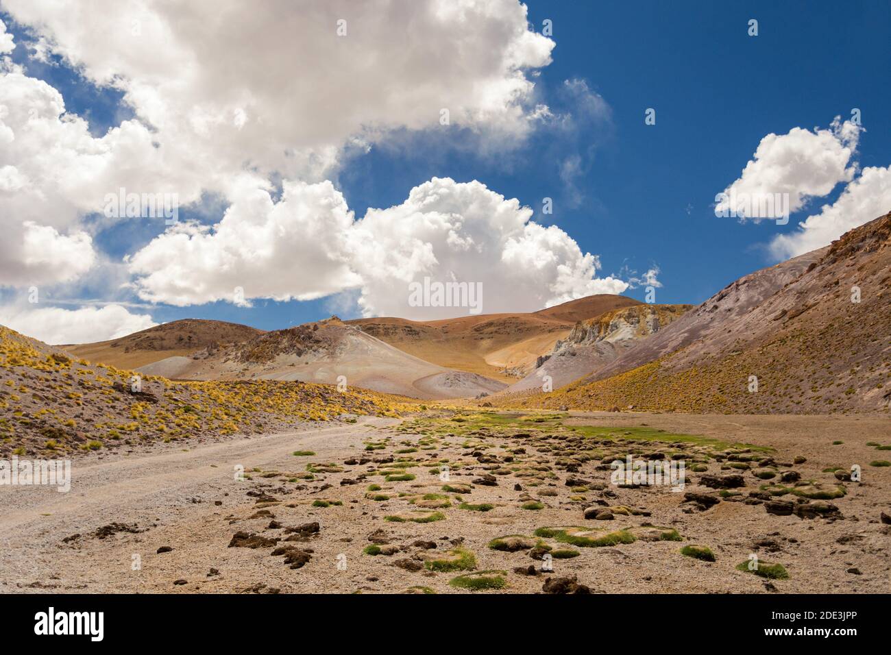 Puna plateau hi-res stock photography and images - Alamy