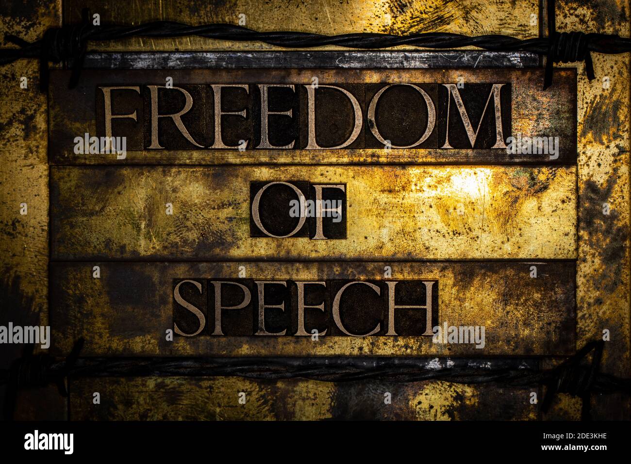 Freedom Of Speech text with barbed wire on textured grunge copper and ...
