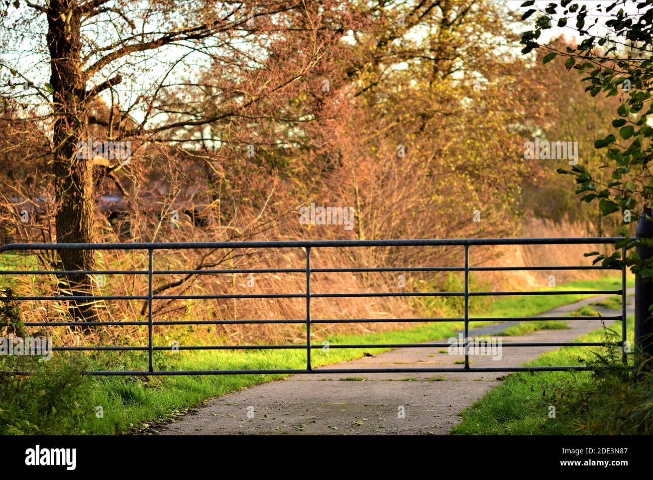 Pasture gate blocks a small concrete road Stock Photo - Alamy