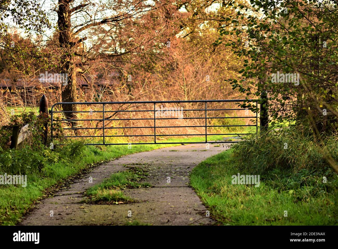 Pasture gate blocks a small concrete road Stock Photo - Alamy