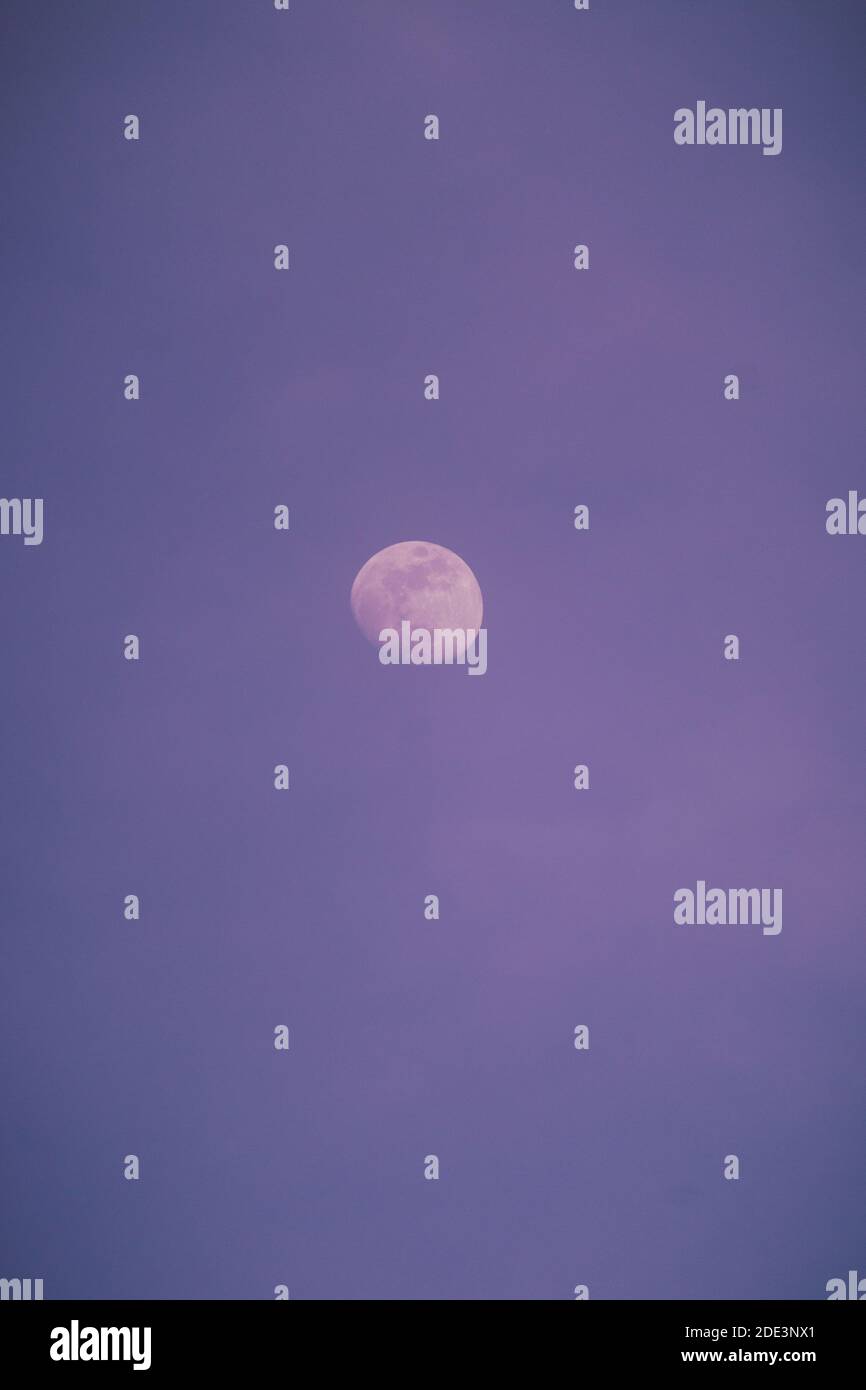 Moon violet hi-res stock photography and images - Alamy
