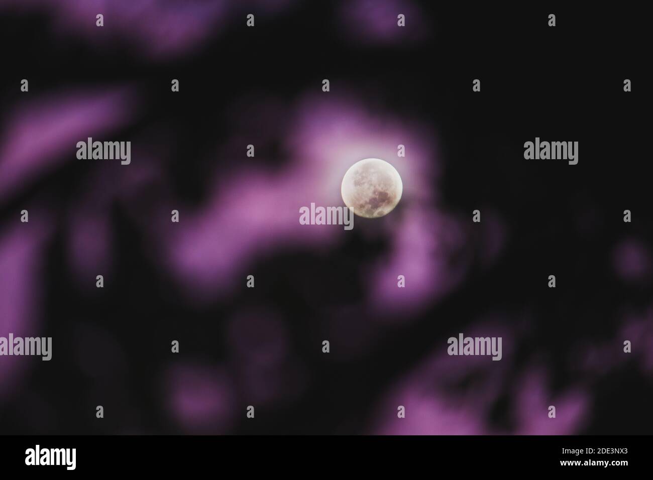 Full moon night india hi-res stock photography and images - Alamy