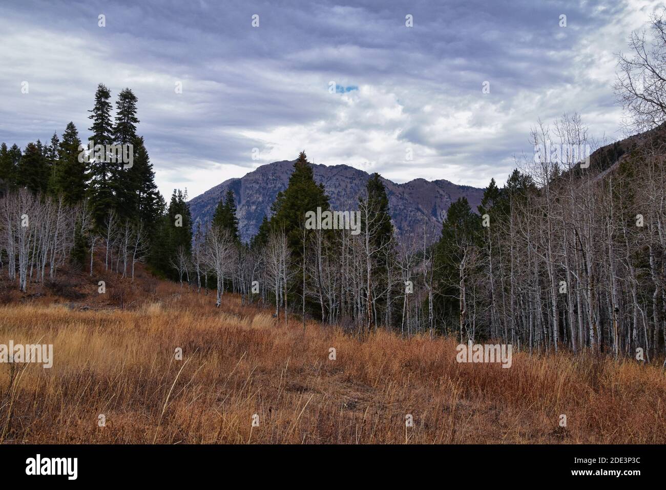 Slide Canyon views from hiking trail fall leaves mountain landscape, Y ...