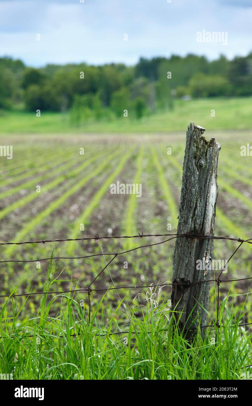 Fence post alignment hi-res stock photography and images - Alamy