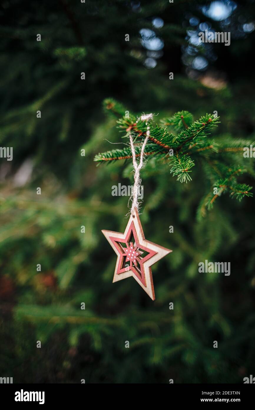 Christ tree hi-res stock photography and images - Alamy