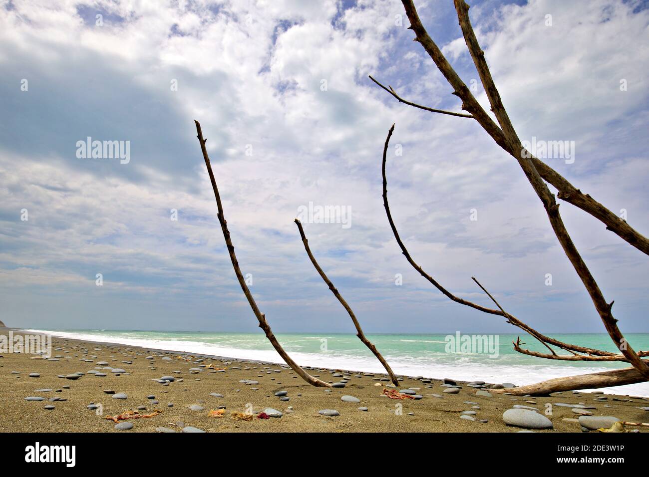 Timaru new zealand hi-res stock photography and images - Alamy