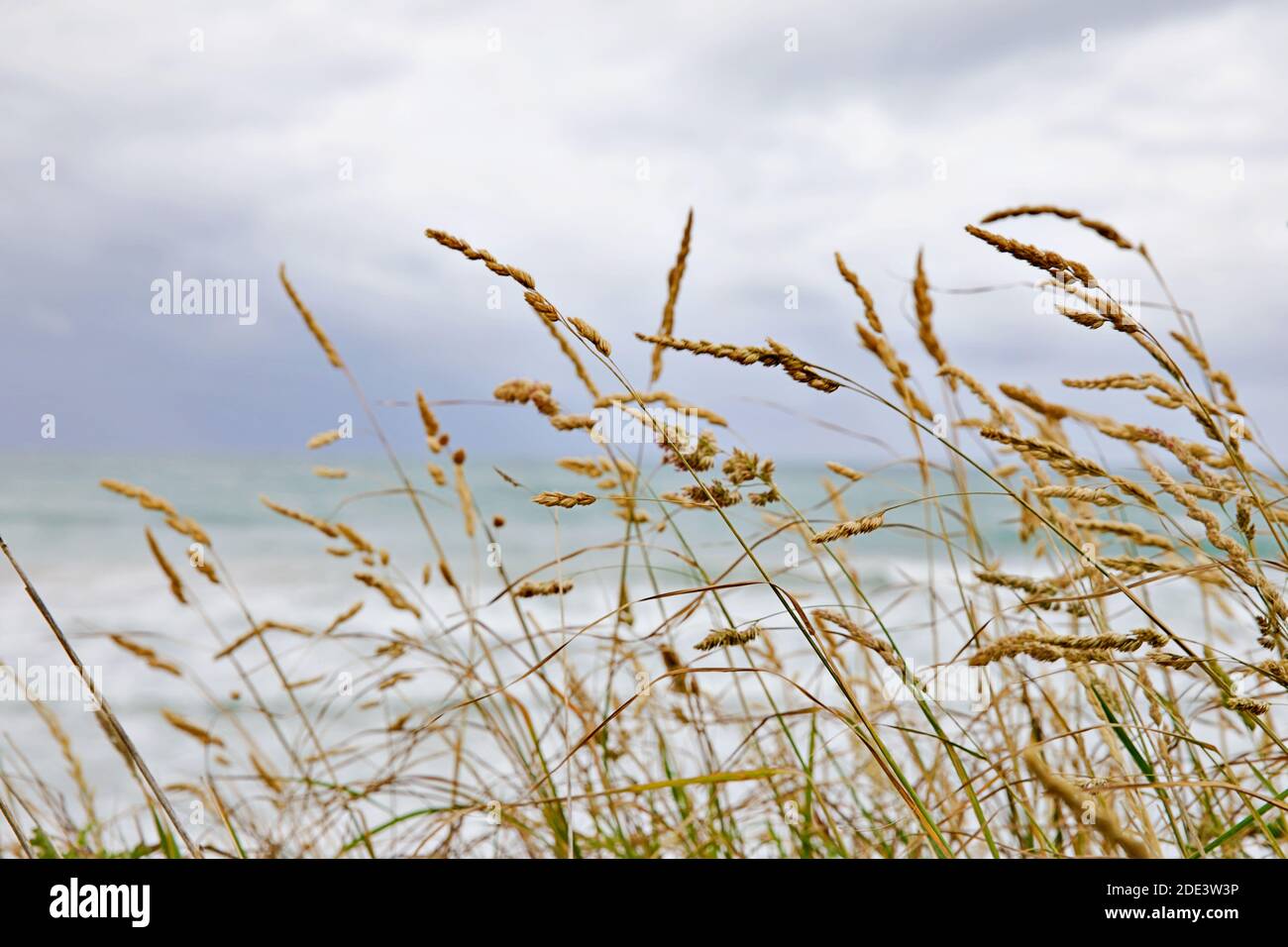 Timaru new zealand hi-res stock photography and images - Alamy