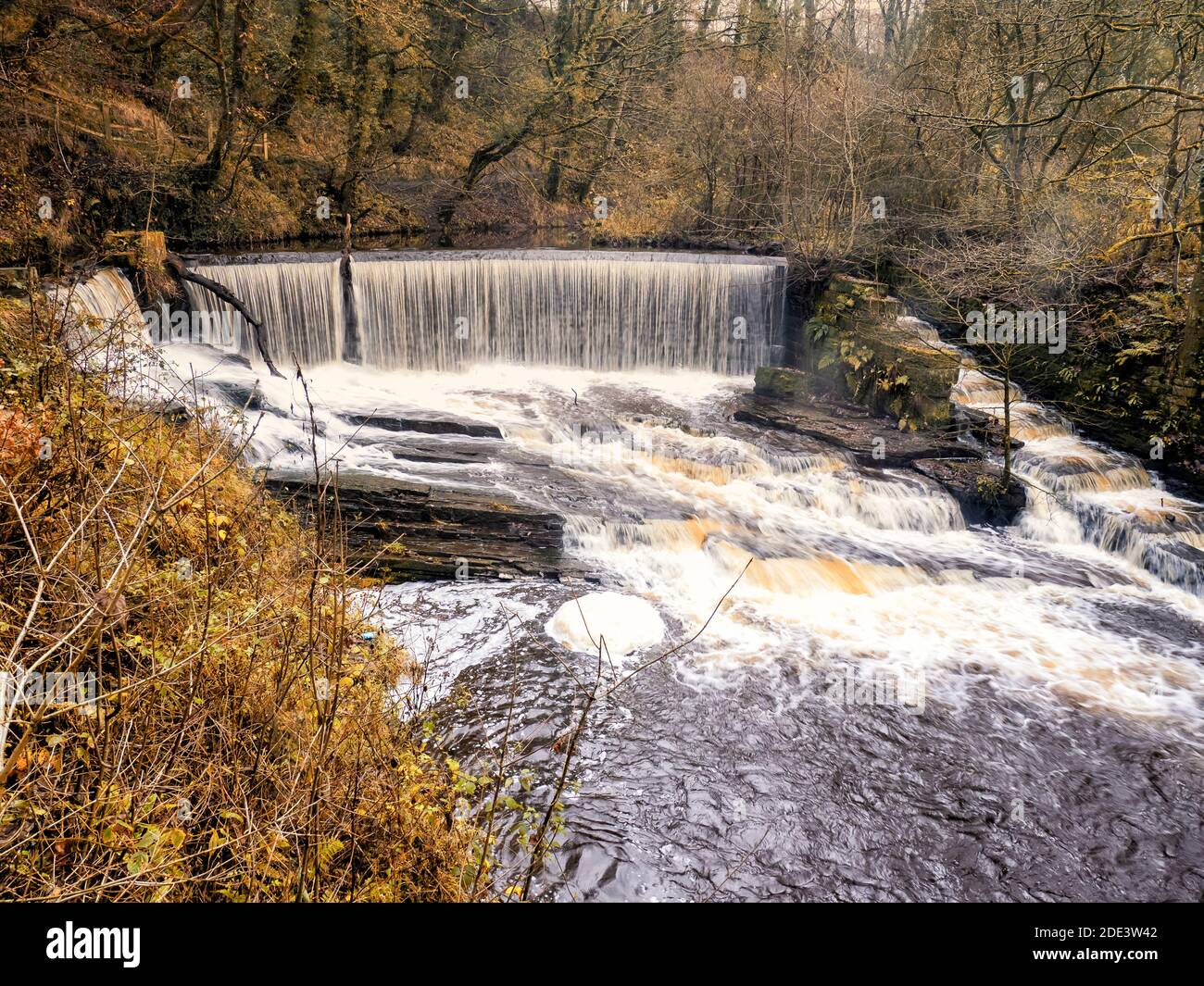 Birkacre Weir at Yarrow Valley Country Park covers over 300 hectares ...