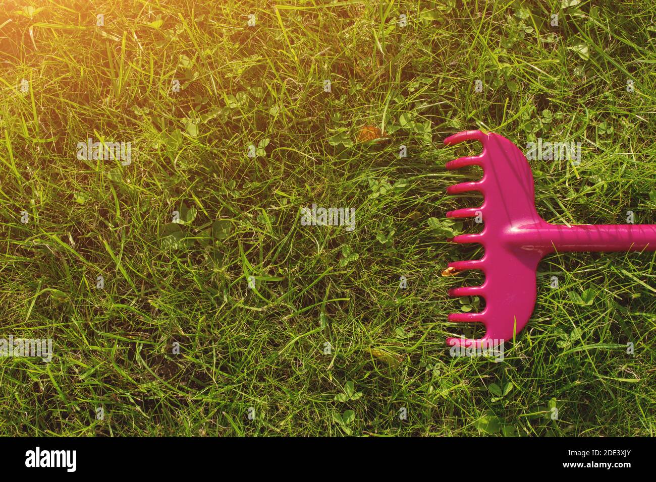 Rake lying on green grass with sanshine background. Rake lying on grass ...