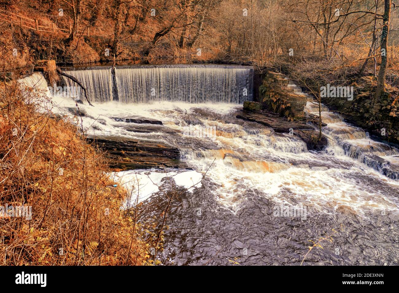 Birkacre Weir at Yarrow Valley Country Park covers over 300 hectares ...