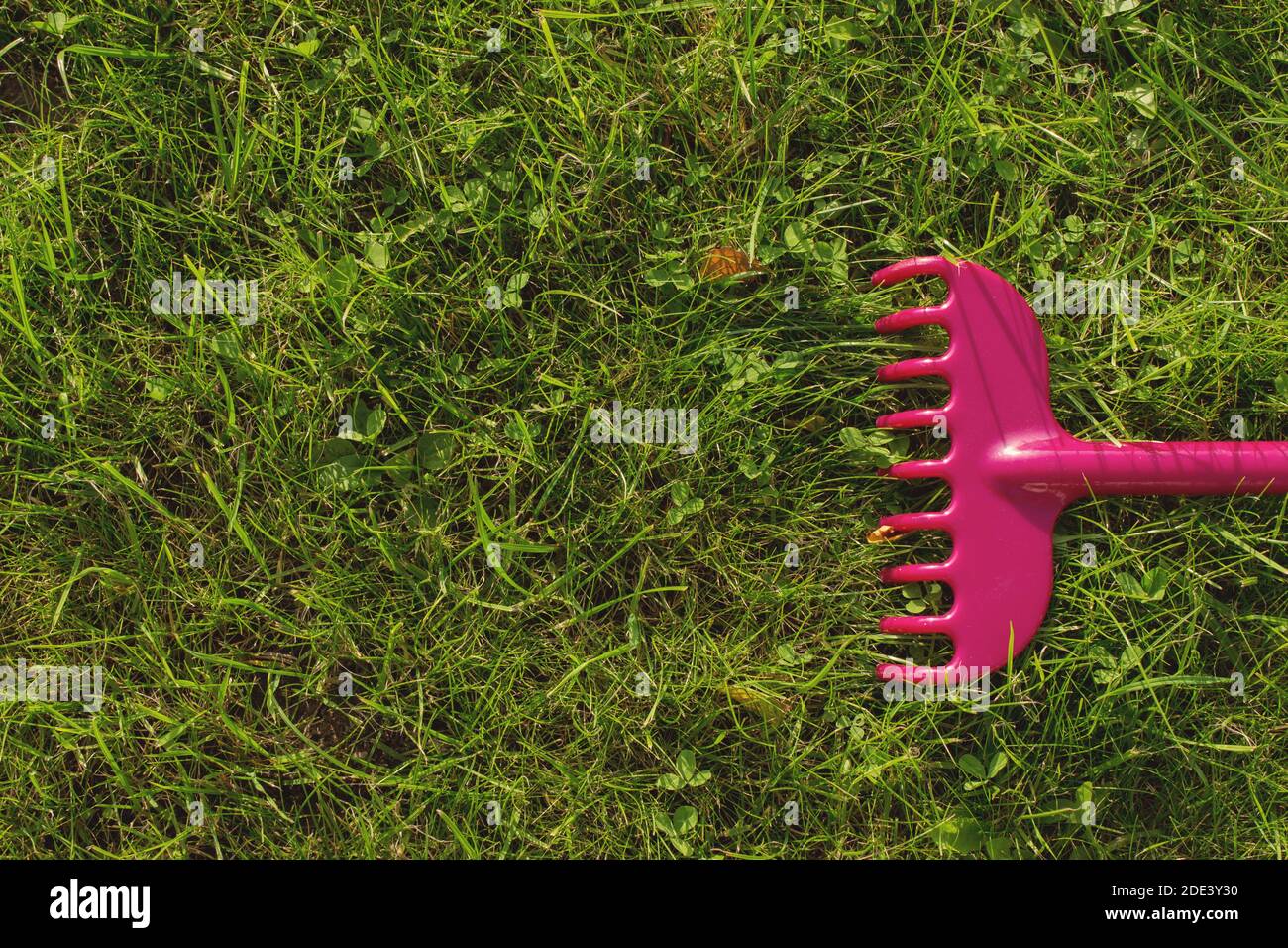 Lawn rake hi-res stock photography and images - Alamy