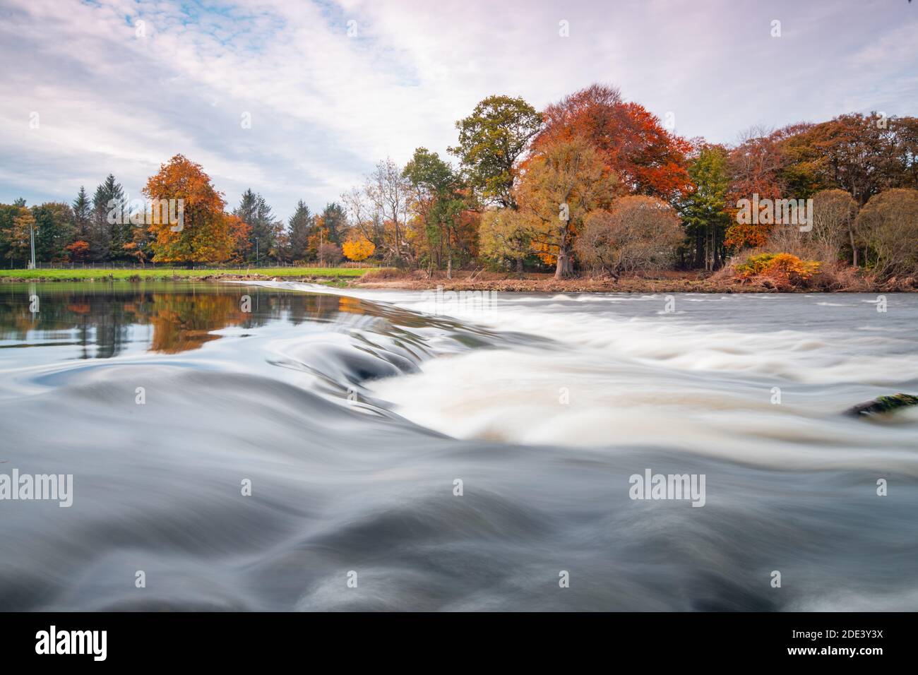 River Don in spate, Persley, Aberdeen, Scotland, UK Stock Photo - Alamy