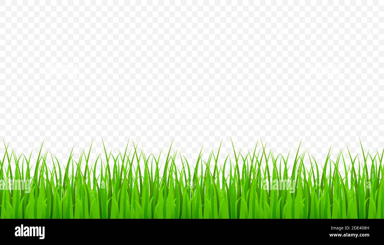 Green Grass Border, field lawn. Vector Illustration Stock Vector Image ...