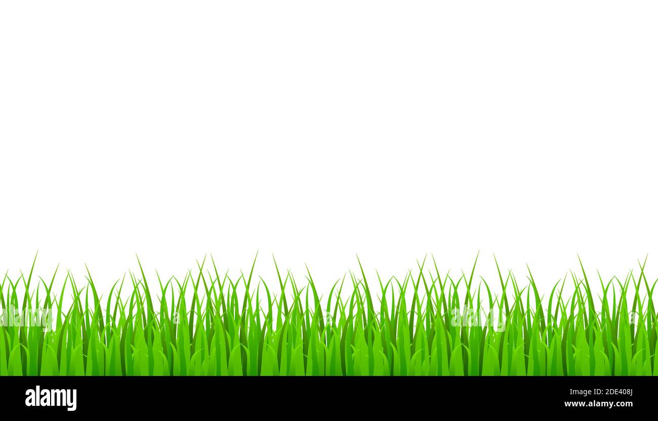 Green grass meadow border vector pattern. Grass background Vector ...