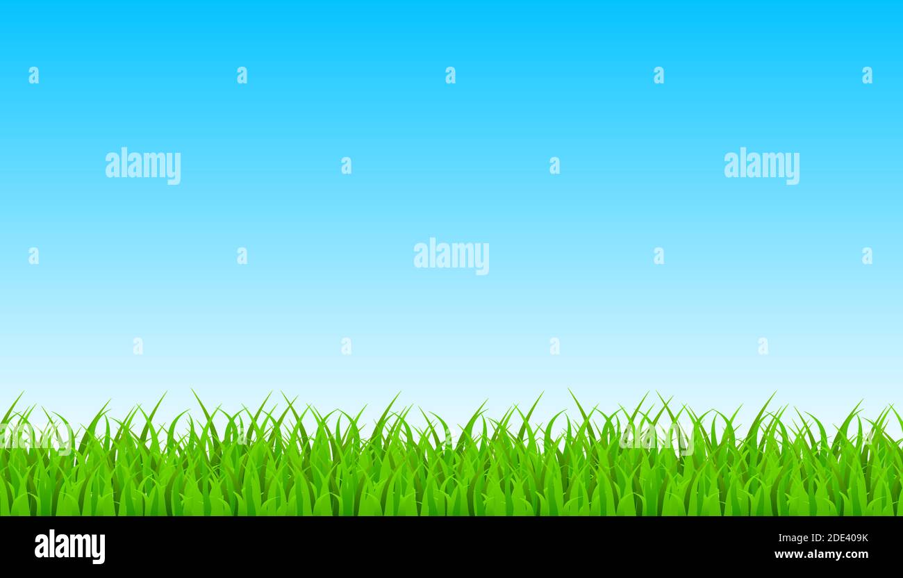 Sky And Grass Background Illustration