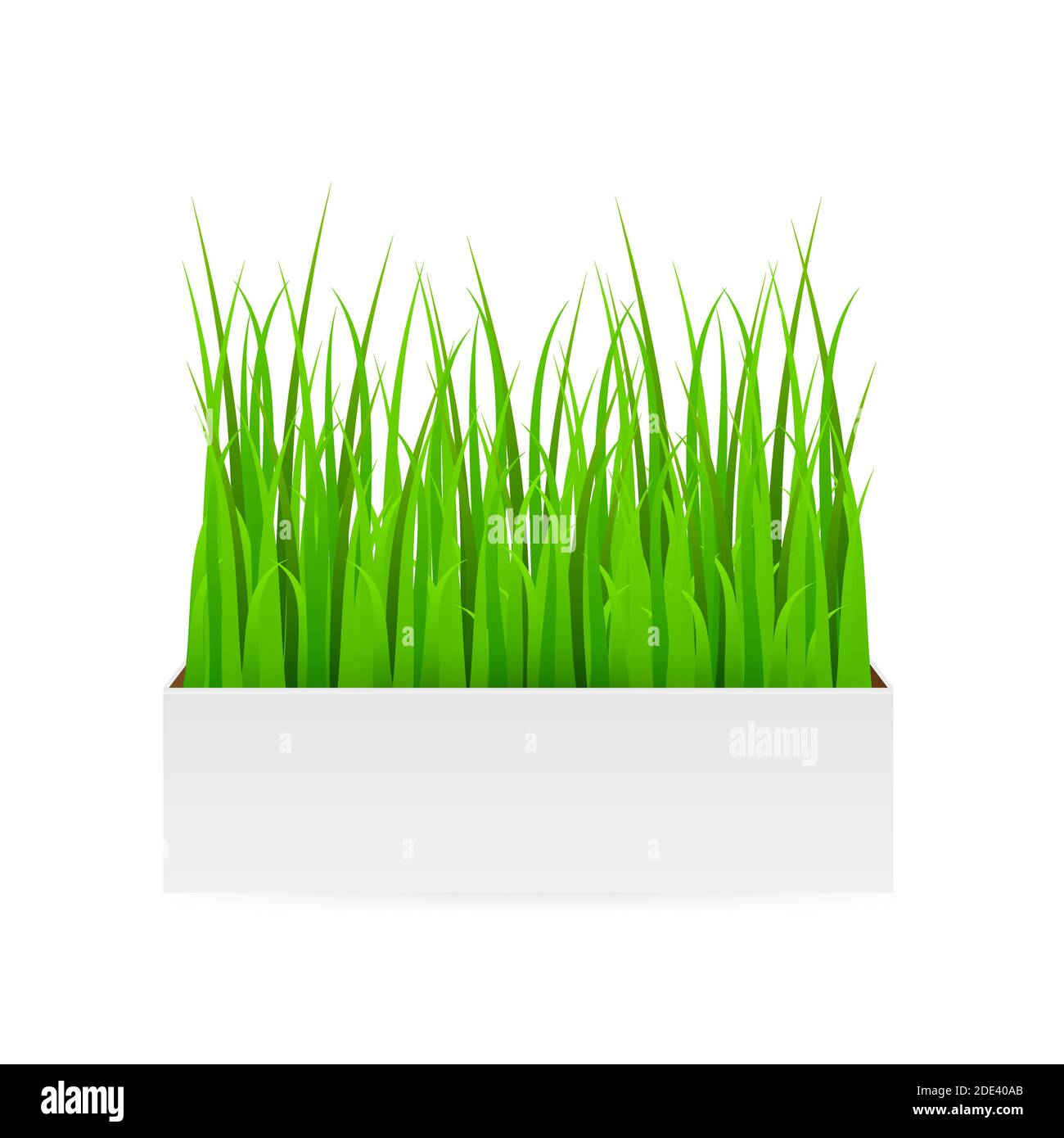 Fresh green grass in pot. Element of home decor. Vector realistic ...