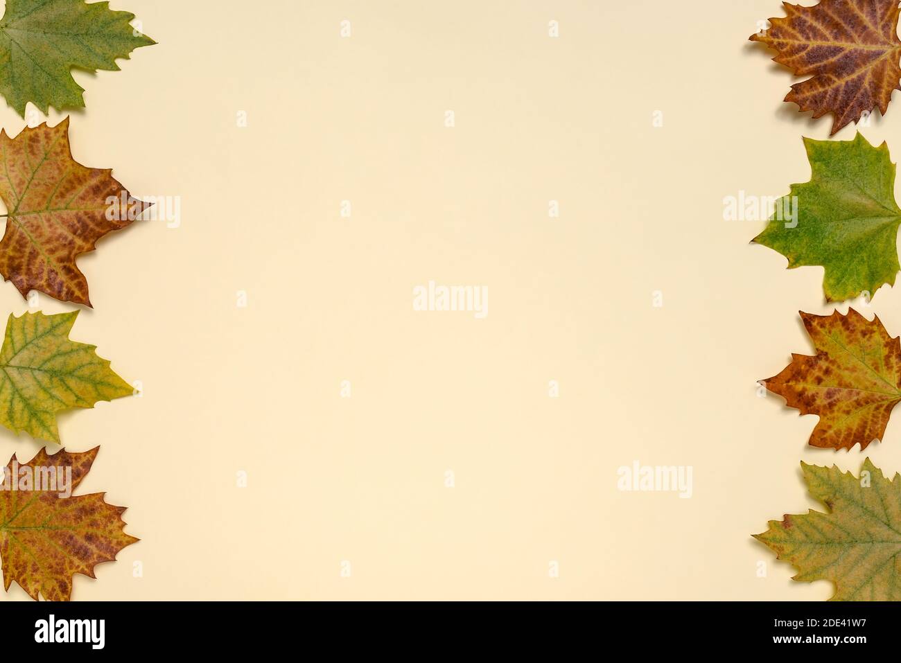 Plant backgrounds hi-res stock photography and images - Alamy