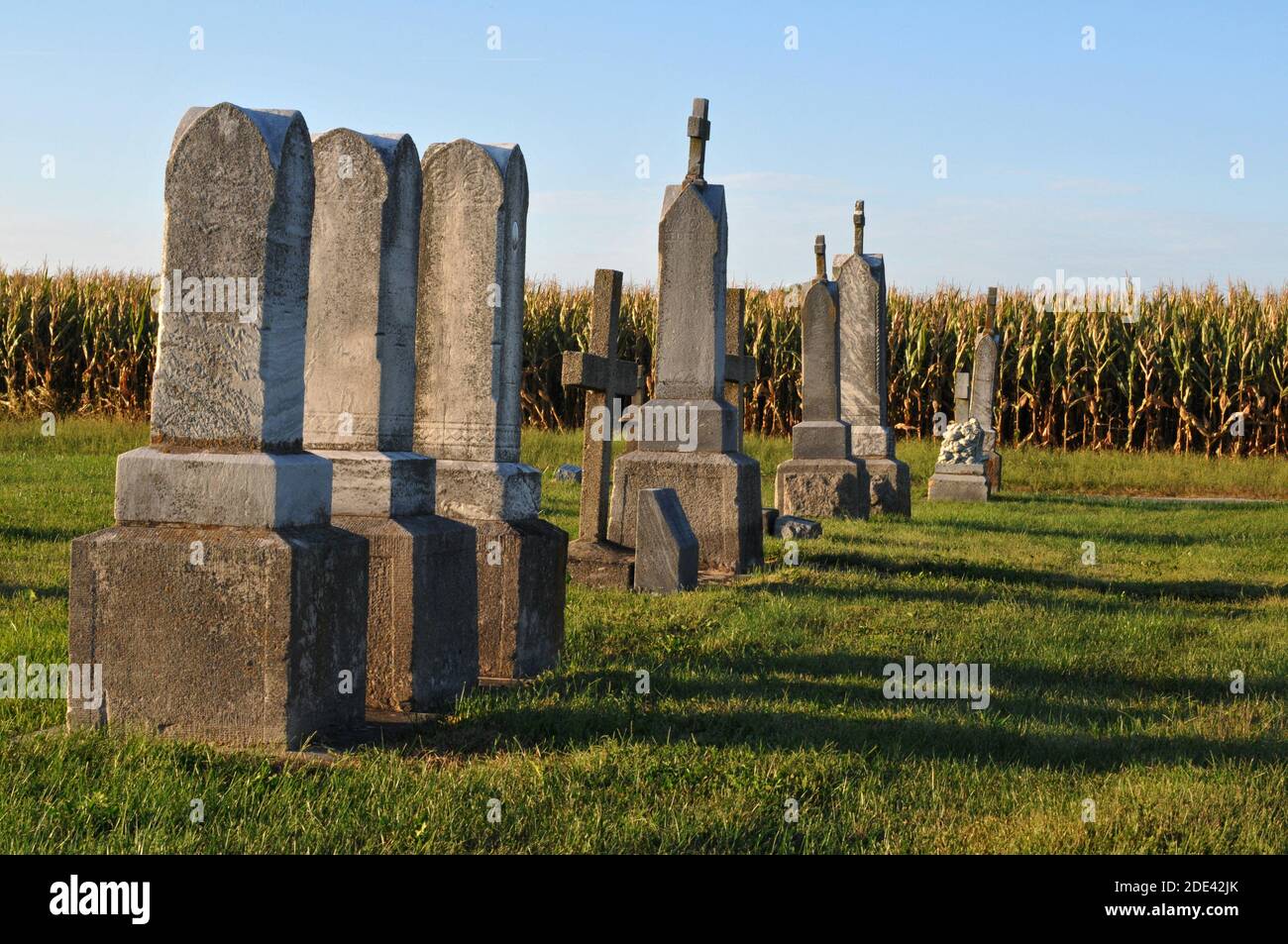 A row of headstones and monuments stretches towards a cornfield at the ...
