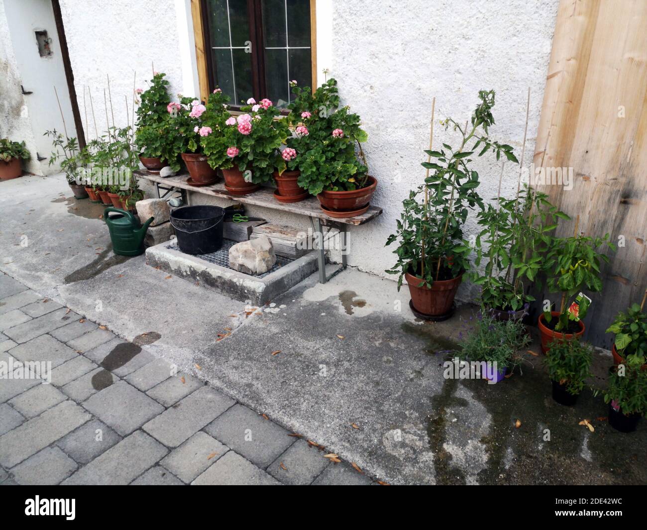 A building with flower pots in front Stock Photo - Alamy
